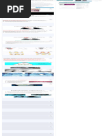 BSP Flowchart Implementing The 2018 Classification | PDF