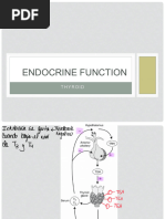 Thyroid Function Test TFT Interpretation | PDF | Thyroid Stimulating ...