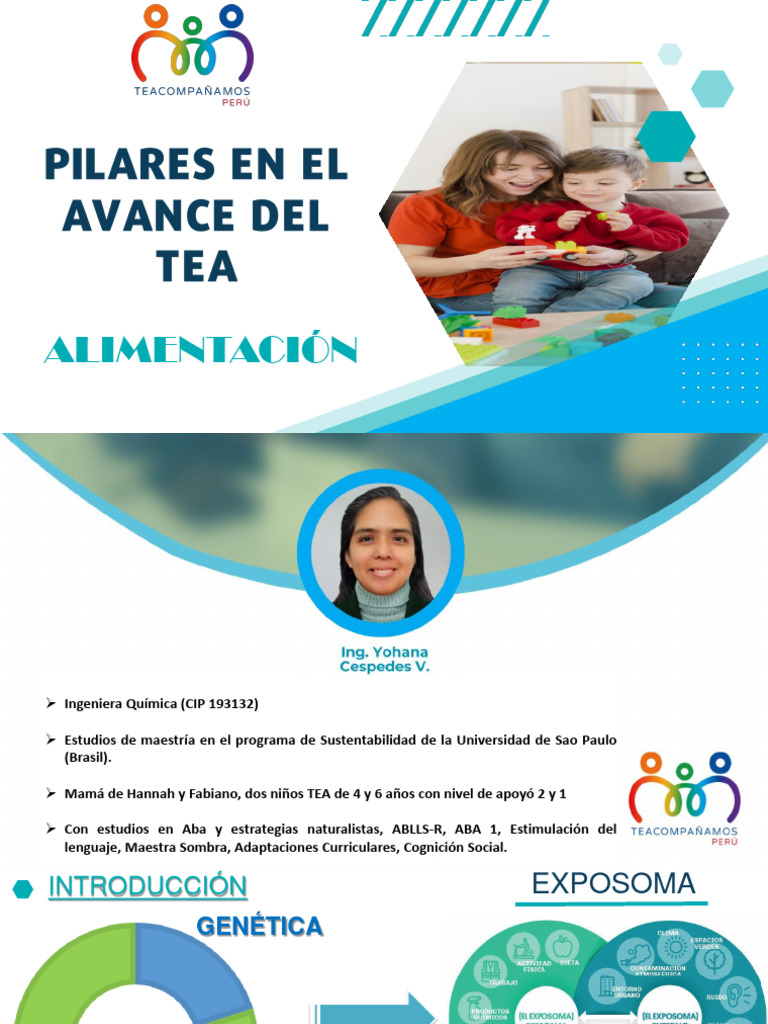 Presentación Pilares en El TEA - Yohana Céspedes | PDF | Mercurio ...