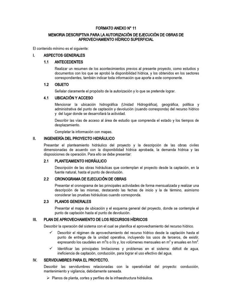 Formato Anexo N 11 | PDF