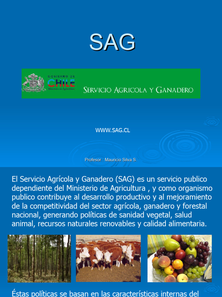 5 Sag | PDF | Agricultura | Vino