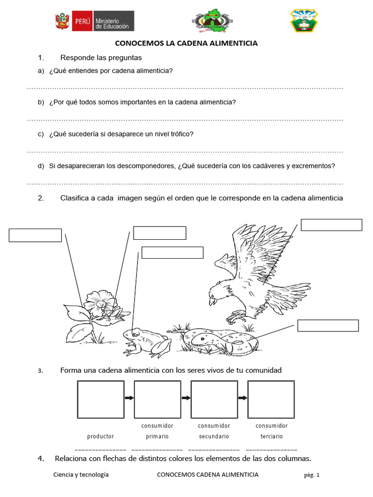 Anexo La Cadena Alimenticia | PDF | Ecología | Ciencias sociales ...