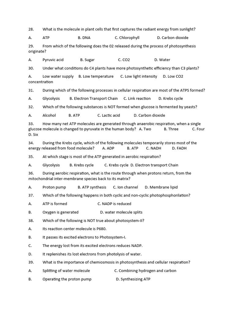 EEU Worksheet G-11 Unit 5 | PDF | Cellular Respiration | Adenosine Triphosphate