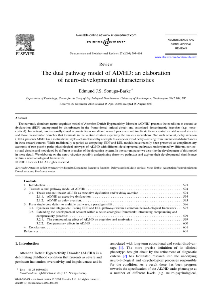 Dual Pathway Model of ADHD Explained | PDF | Striatum | Reward System
