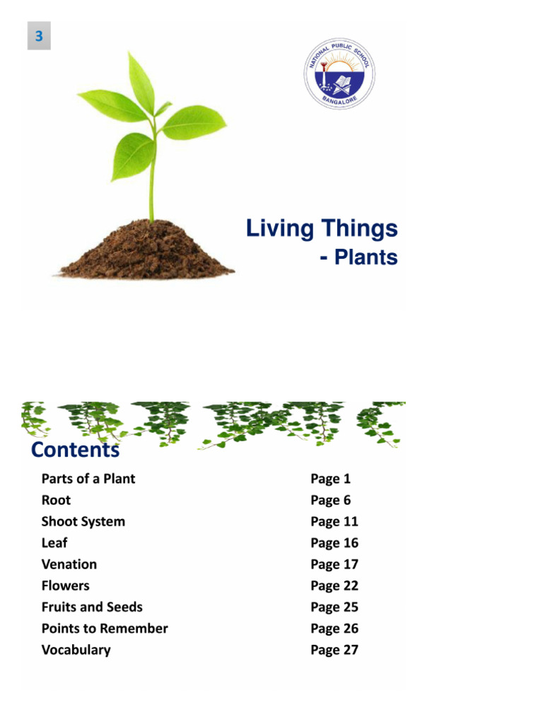 Grade3-Living Things-Plants | PDF