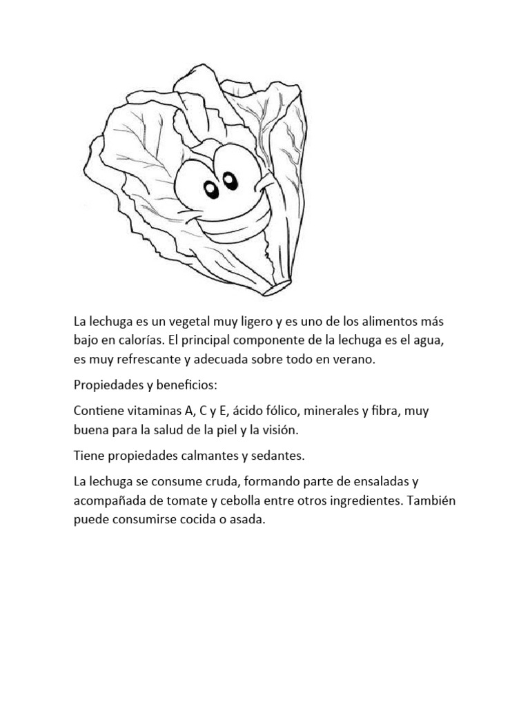 Beneficios y usos de la lechuga | PDF