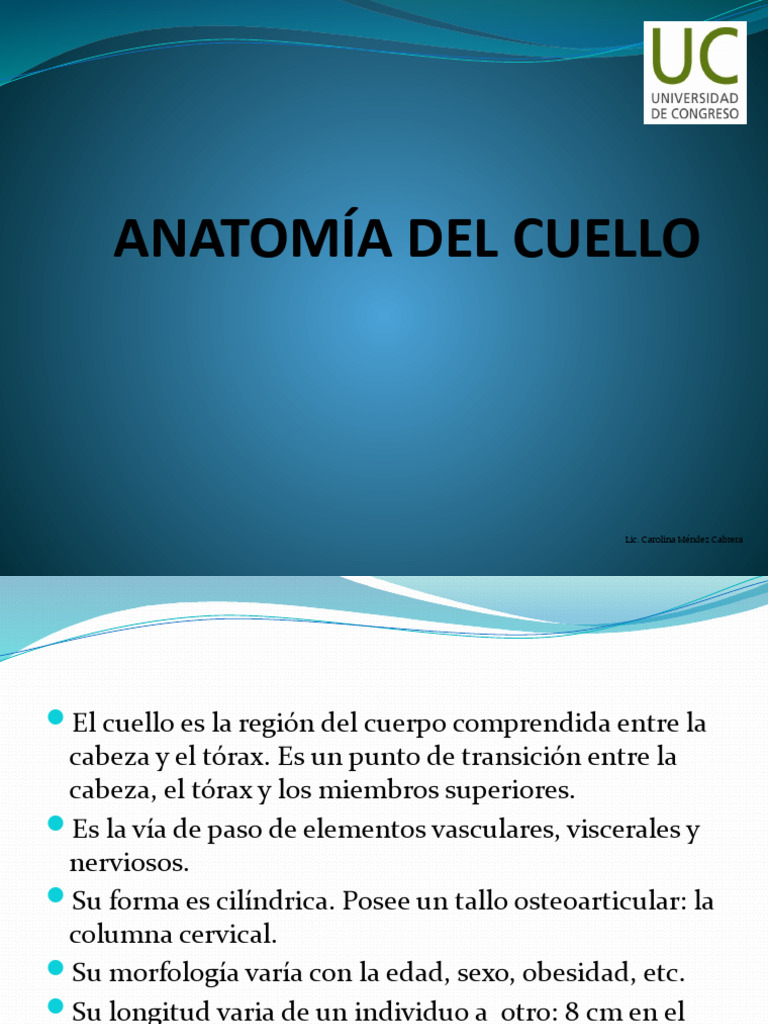 Anatomía Del Cuello | PDF | Anatomía humana | Cabeza y cuello humanos