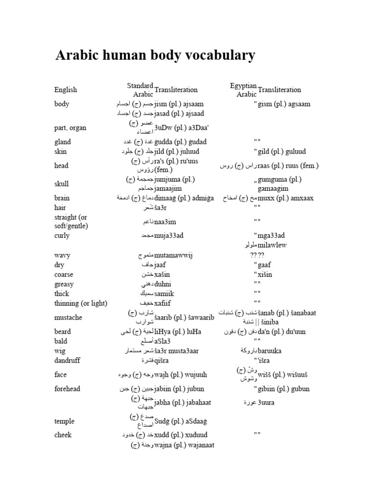 Arabic Human Body Vocabulary | PDF