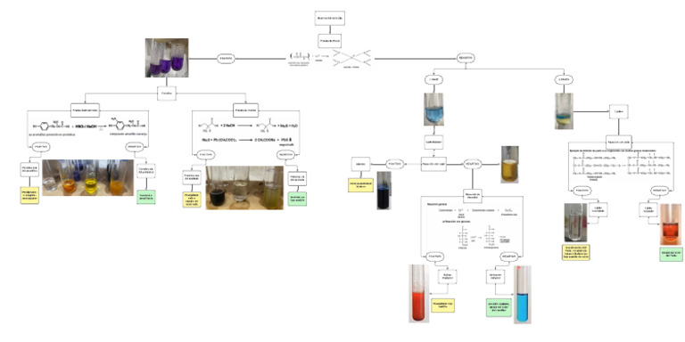 Muestra Desconocida 3 ARREGLADO | PDF | Biomoléculas | Química Orgánica