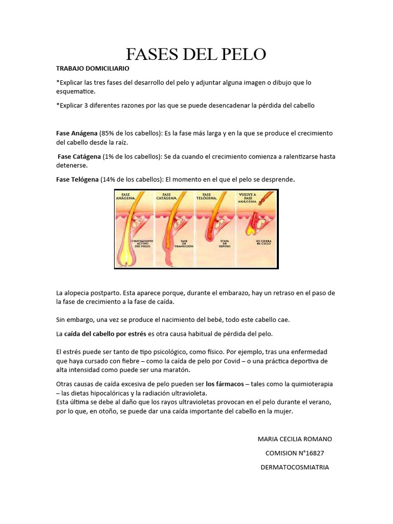 Fases Del Pelo | PDF