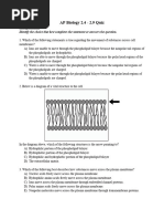 2024 APUSH Free-Response Questions | PDF