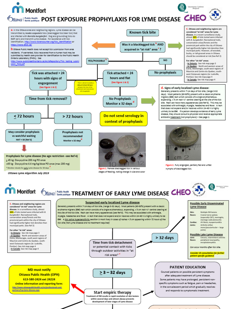 Ottawa Algorithm For Lyme Disease July2019 | PDF | Lyme Disease ...