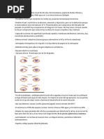 Tecnica Faco+lio+vitrectomia+retinopexia | PDF | Catarata | Oftalmología
