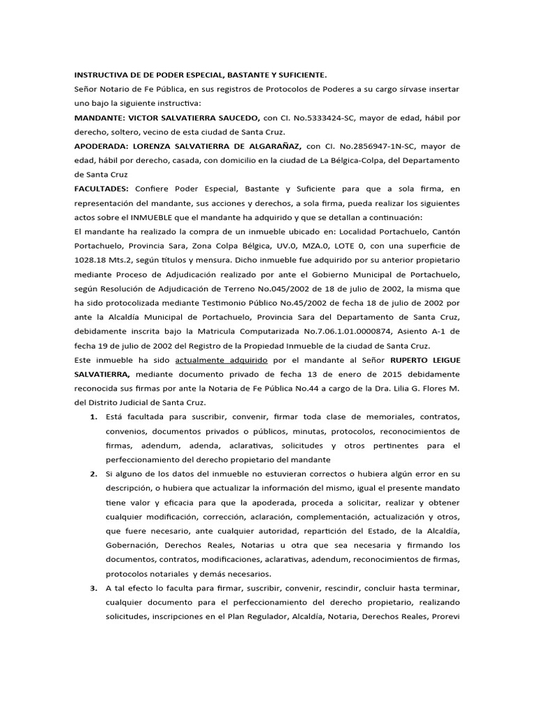 Instructivo Poder para Inmueble | PDF