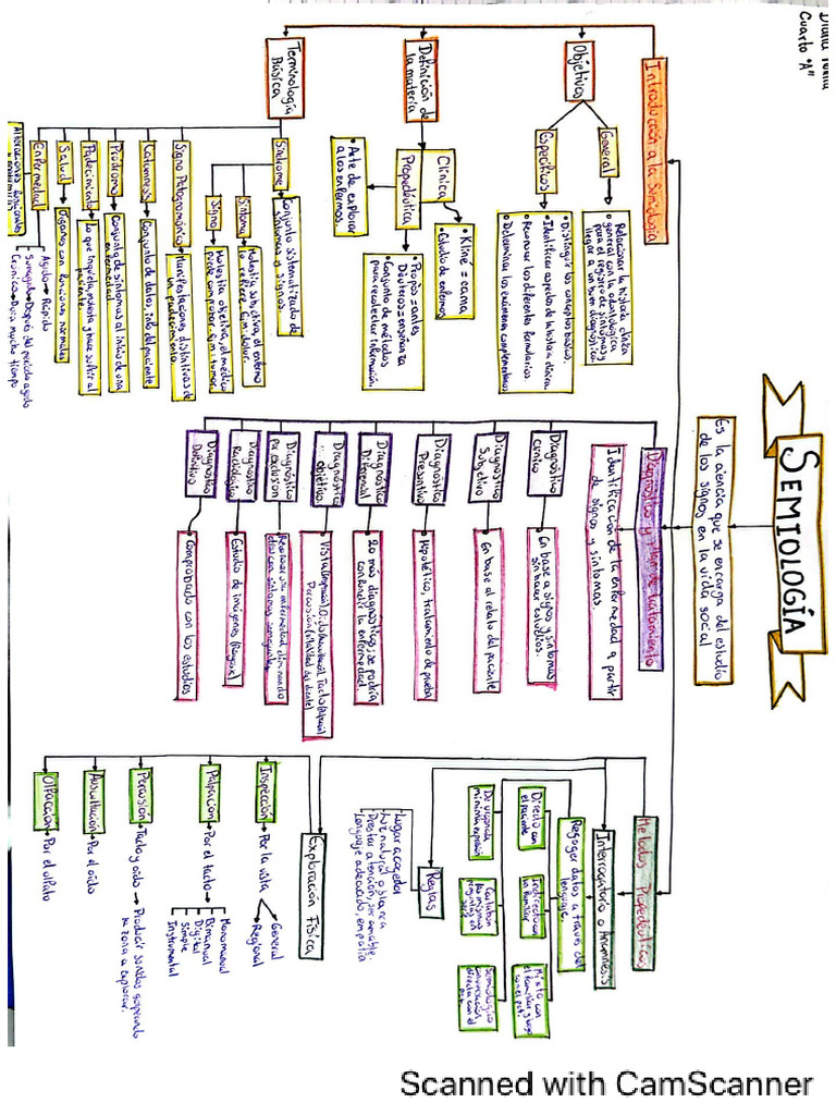 Molina Diana - Mapa Conceptual1 | PDF