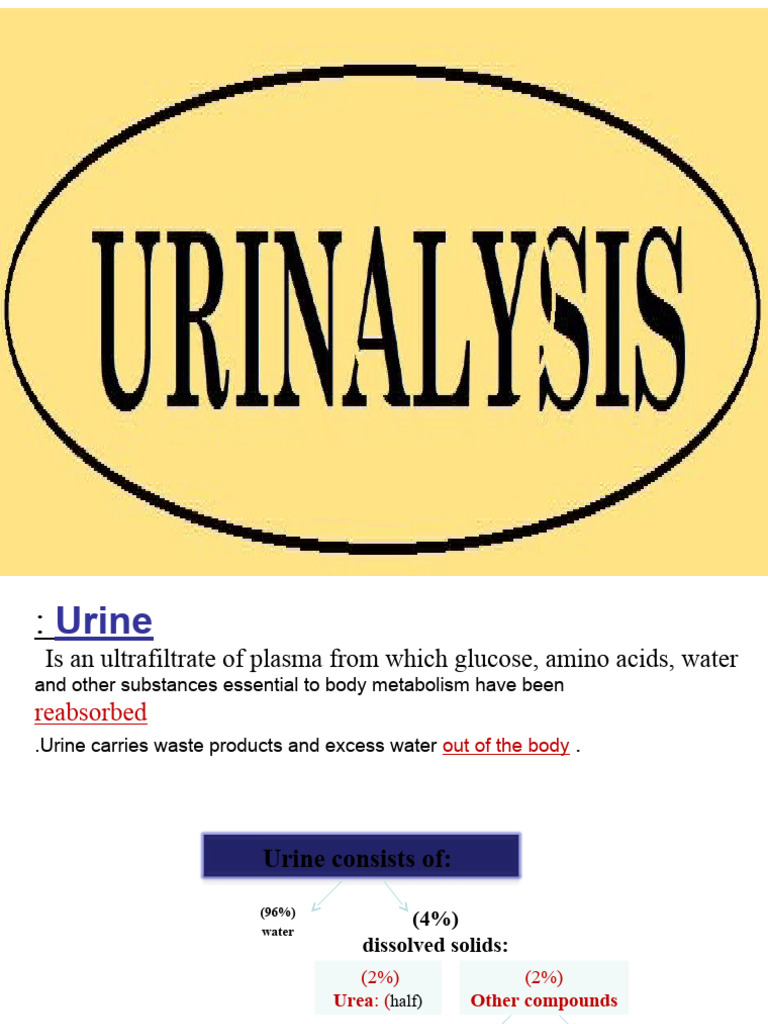 Urine Analysis | PDF | Urine | Kidney