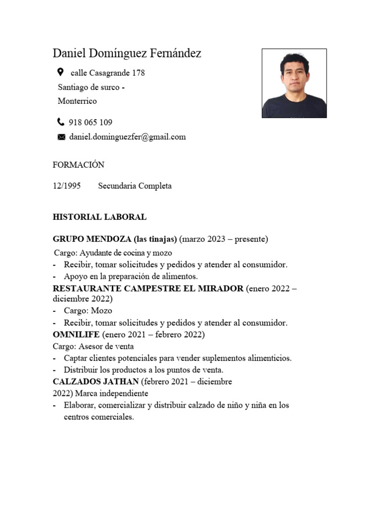 CV - Daniel Domínguez Fernández | PDF