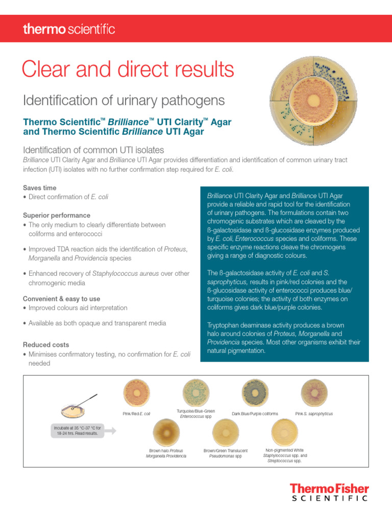 Brilliance UTI Sell Sheet Upgrade 2020 v8 FINAL | PDF | Urinary Tract Infection | Microbiology