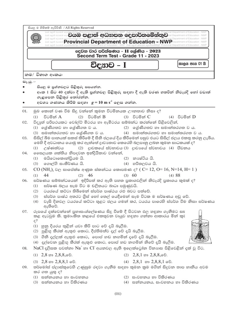 Grade 11 Science Term 2 Test Papers | PDF