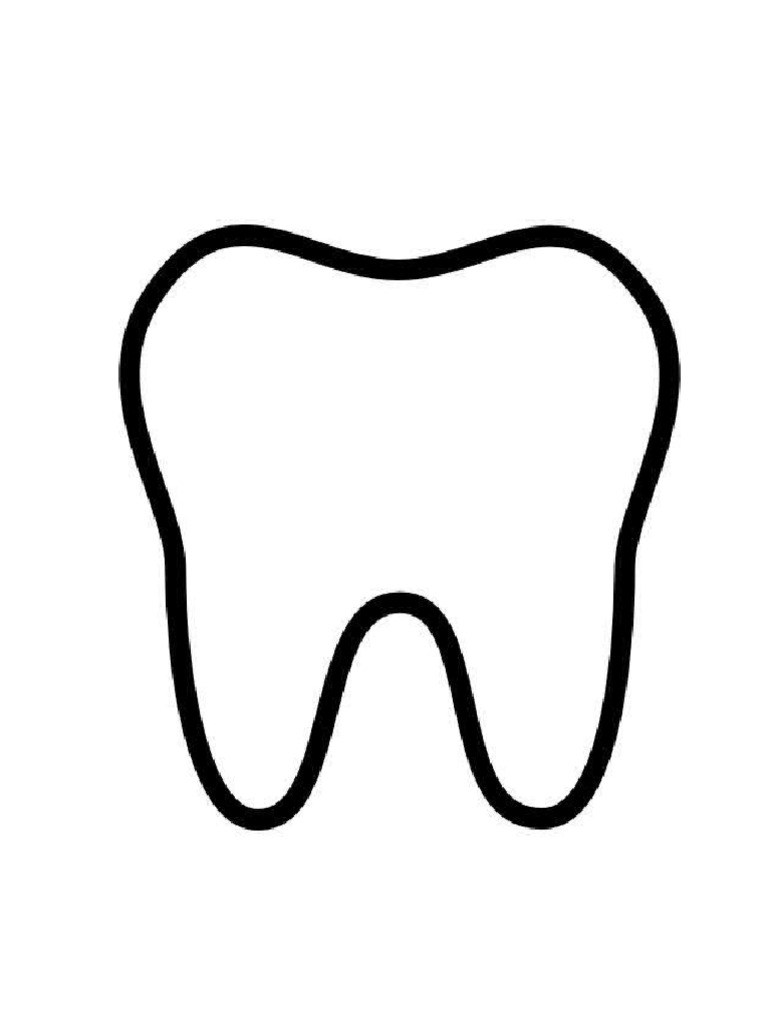 Tooth | PDF