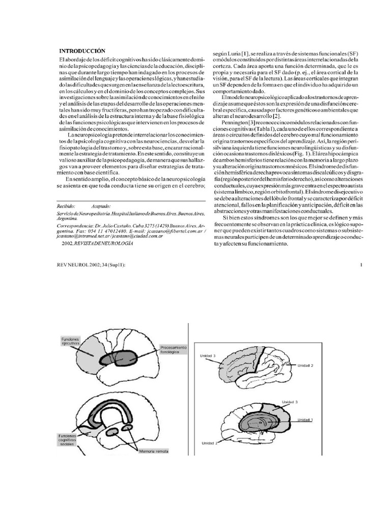 Castillo Paint | PDF