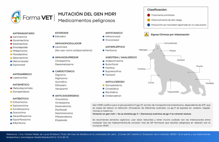 Mutación Del Gen MDR1 | PDF