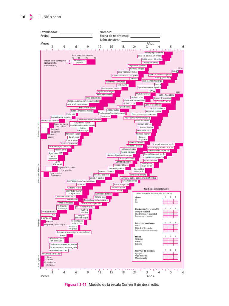 Denver Test | PDF