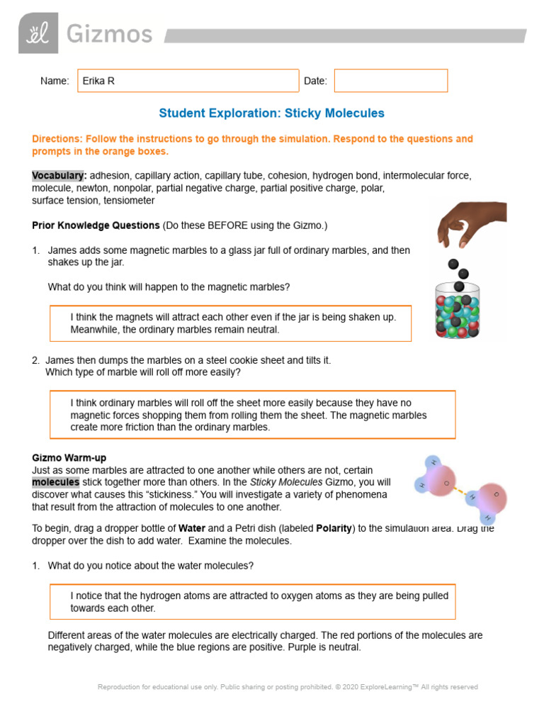 Sticky Molecules GIZMO Student Lab Worksheet | PDF | Chemical Polarity ...