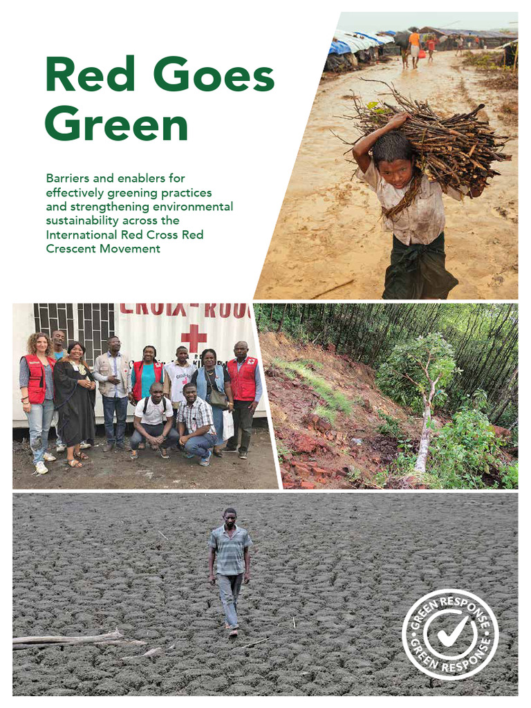 red-goes-green_report_2020 | PDF | Sustainability | International ...