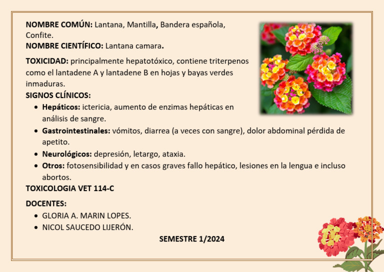 Nombre Común | PDF