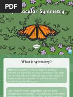 Butterfly Symmetry Activity | PDF