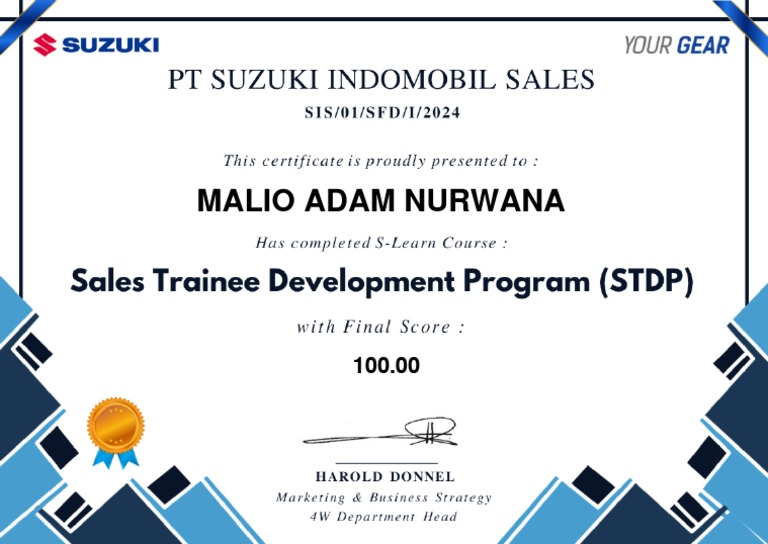 E Certificate 2 | PDF