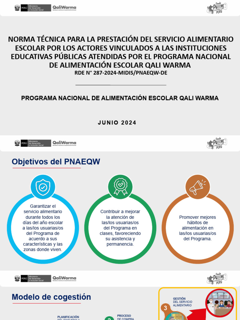 NT Prestacioón Del SAE - 287-2024 Actualizado - Junio 2024 | PDF | Alimentos | Documento de ...