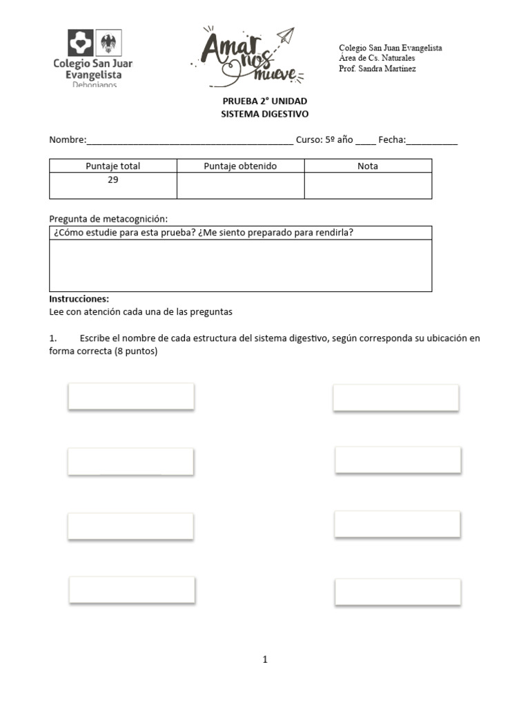 Prueba Sist. Digestivo 5° Año | PDF | Digestión | Sistema digestivo humano Prueba Sist. Digestivo 5° Año | PDF | Digestión | Sistema digestivo humano