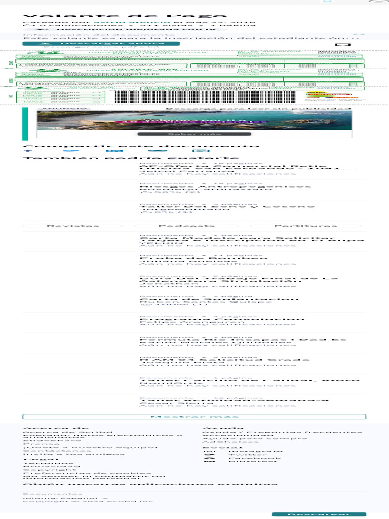 Volante de Pago PDF | PDF