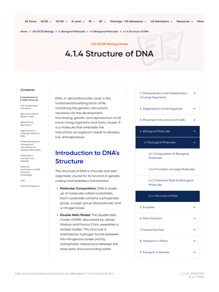 Structure of DNA (4.1.4) - CIE IGCSE Biology Notes - TutorChase | PDF ...