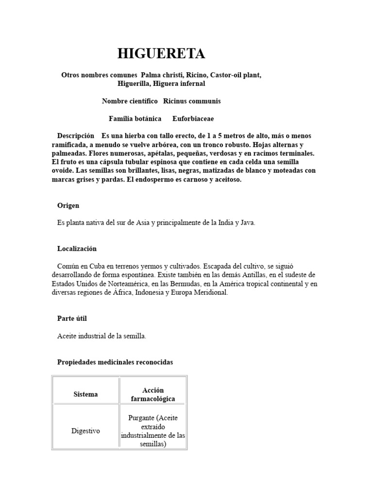 Higuereta | PDF | Botánica | Plantas