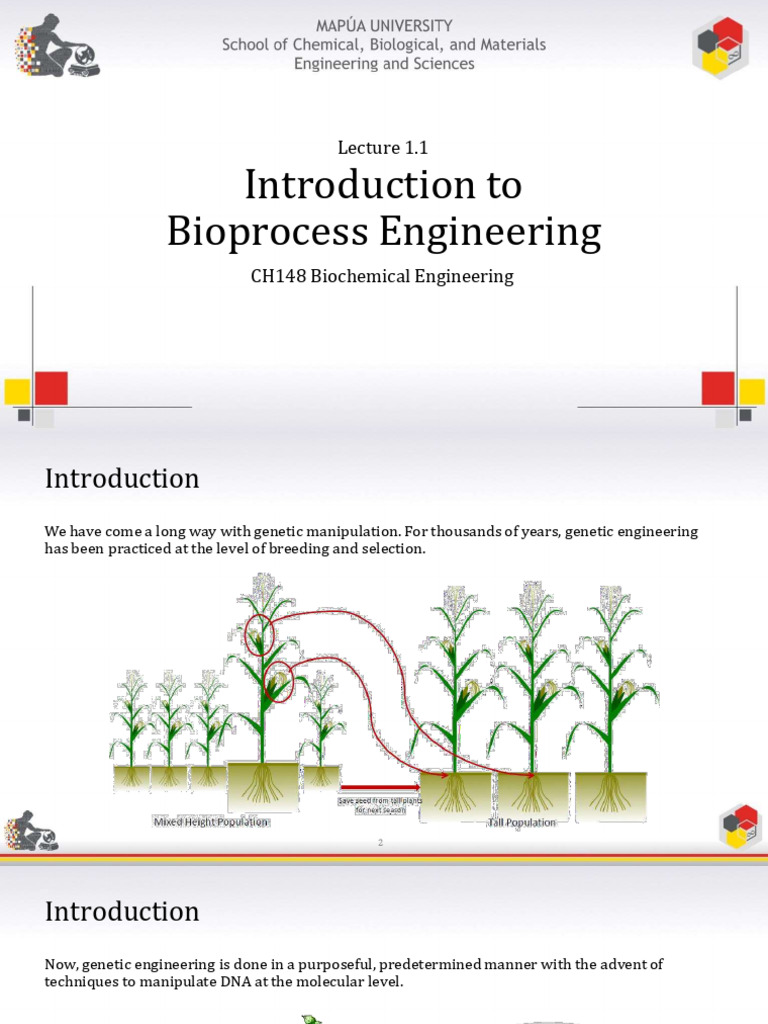 1.1 Introduction To Bioprocess Engineering | PDF | Biotechnology | Engineering