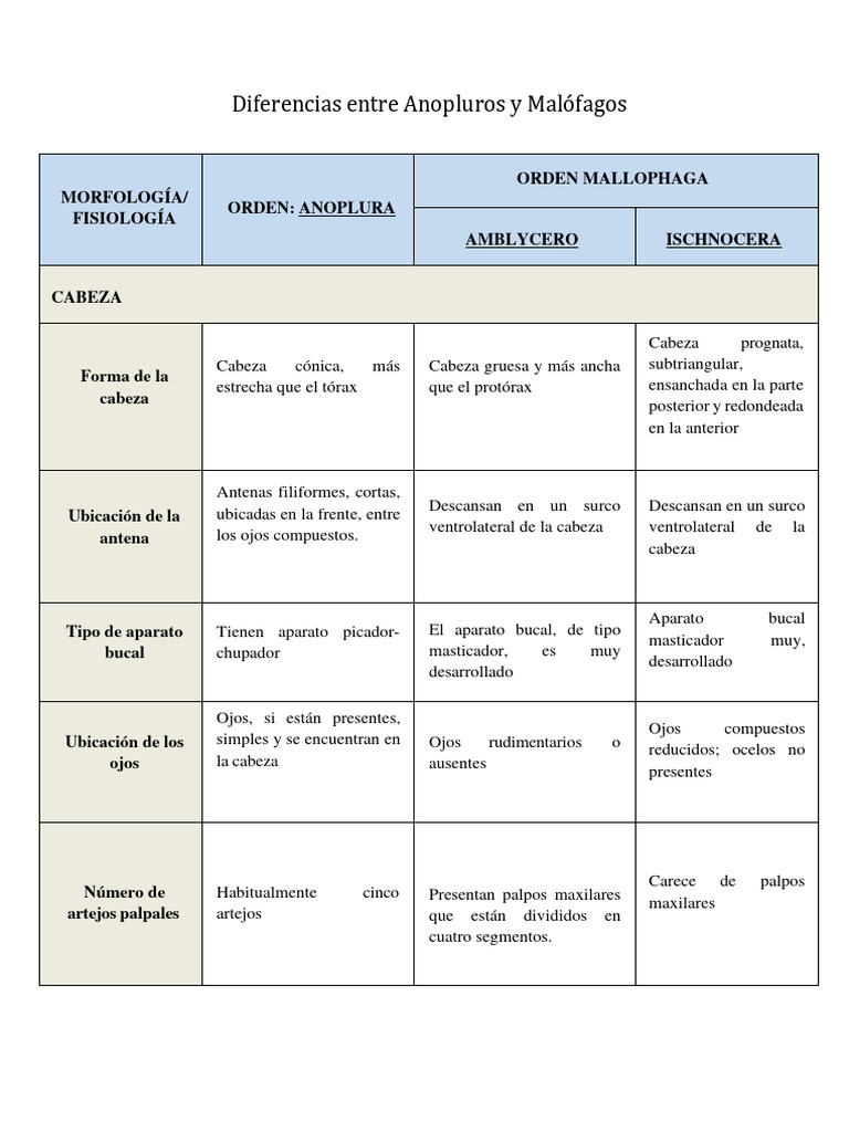 Diferencias entre Anopluros y Malófagos | PDF | Artrópodos | Artropodología