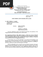 AOM Response Guidelines for COA Audit | PDF | Audit | Business