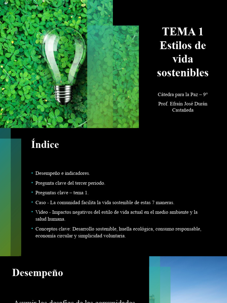Tema 1 - Estilos de Vida Sostenibles | PDF | Sustentabilidad | Desarrollo sostenible