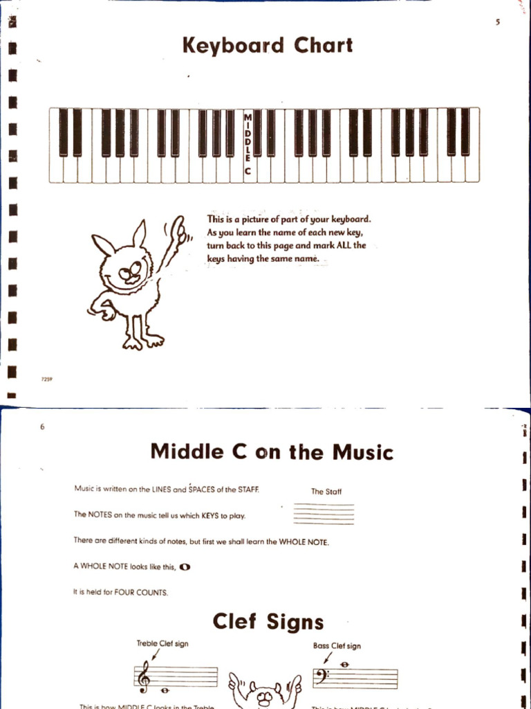 Basic Notes for Beginners | PDF