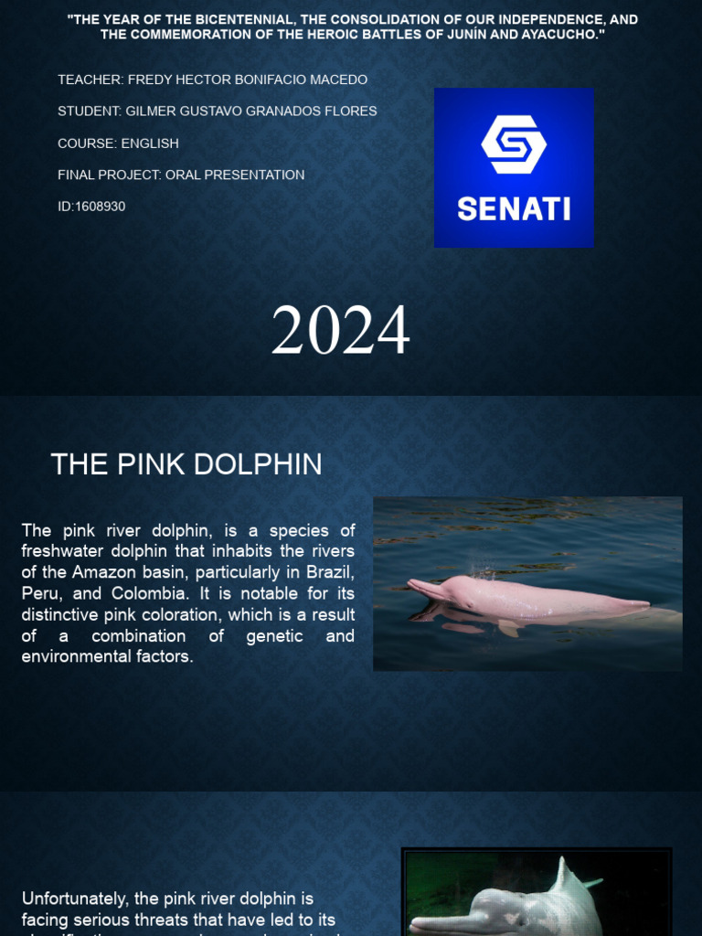 Final Project Oral Presentation | PDF | Science & Mathematics