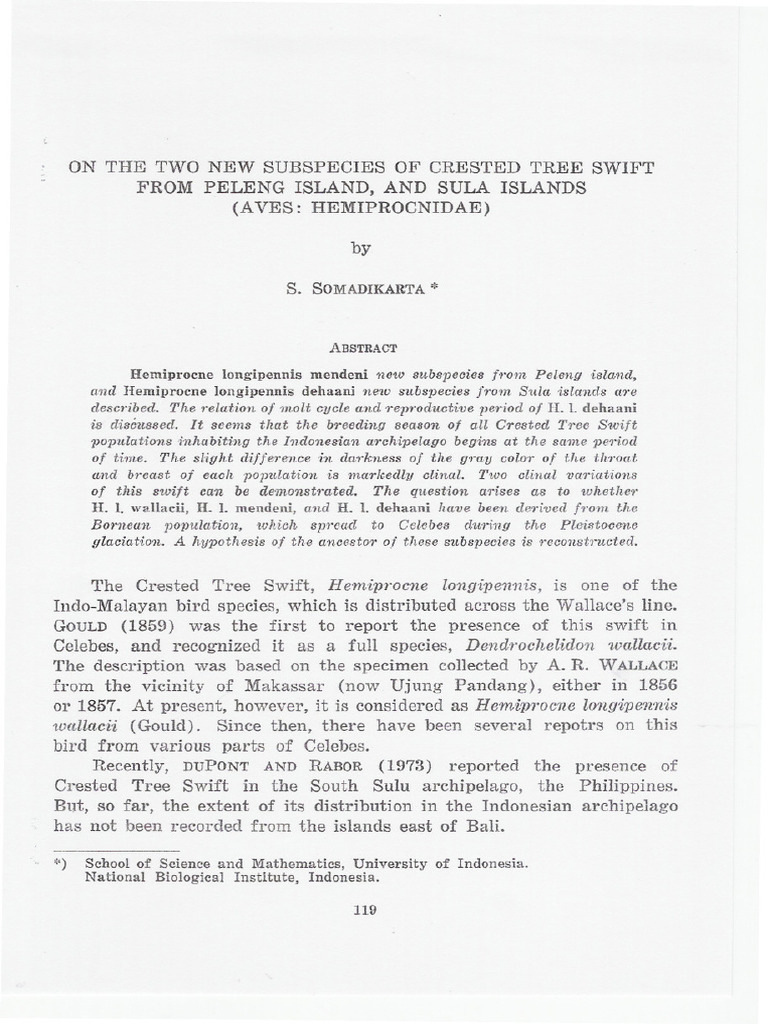 1975.0000 Treubia, 28 (4) - Hemiprocnidae | PDF | Birds