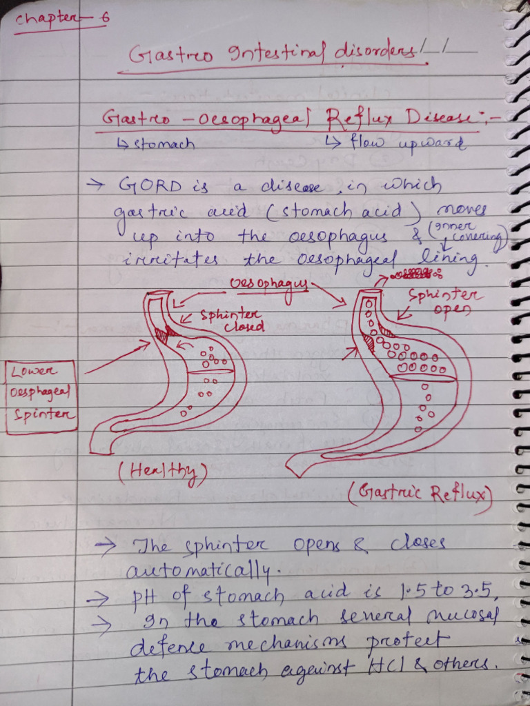 GORD Notes | PDF | Cooking, Food & Wine | Science & Mathematics