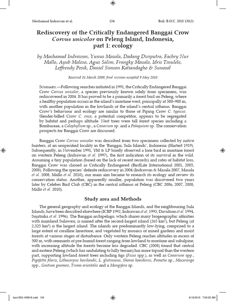 BBOC 2010 Rediscovery of Banggai Crow Indrawan Et Al 1009 | PDF | Birds ...