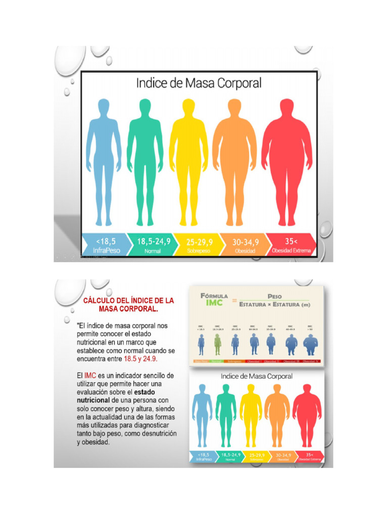 Indice Masa Corporal | PDF