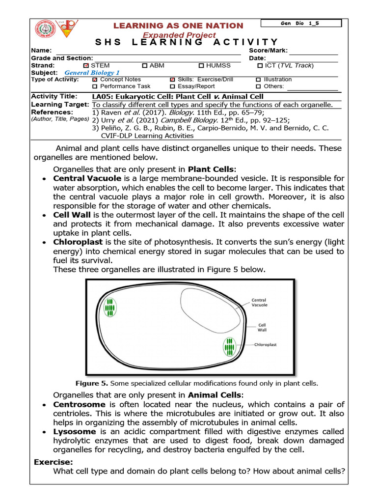 Gen Biology 1 LAS 5 Eukaryotic Cell - Plant Cell v. Animal Cell | PDF | Cell (Biology) | Biology