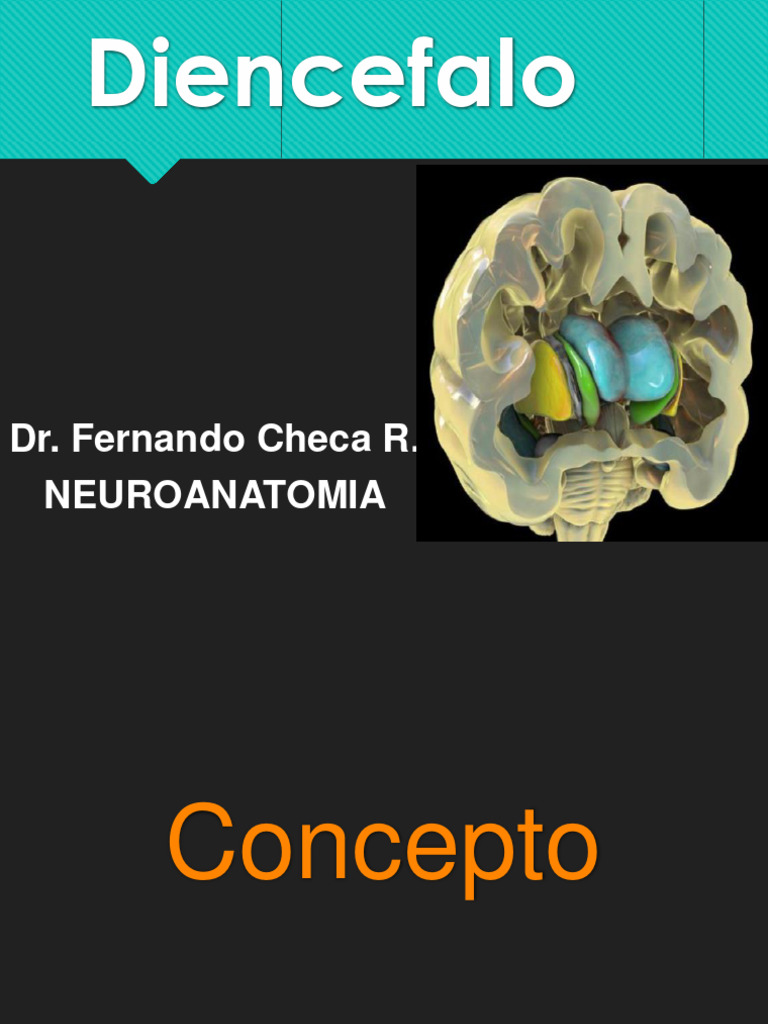 DIENCEFALO | PDF | Hipotálamo | Tálamo