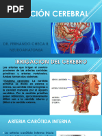 Prensa de Herofilo | PDF | Cerebro | Vena